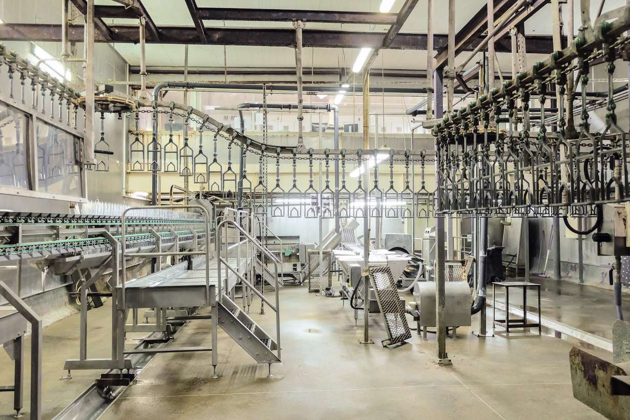 Slaughterhouse Water Management - Setaş Çevre